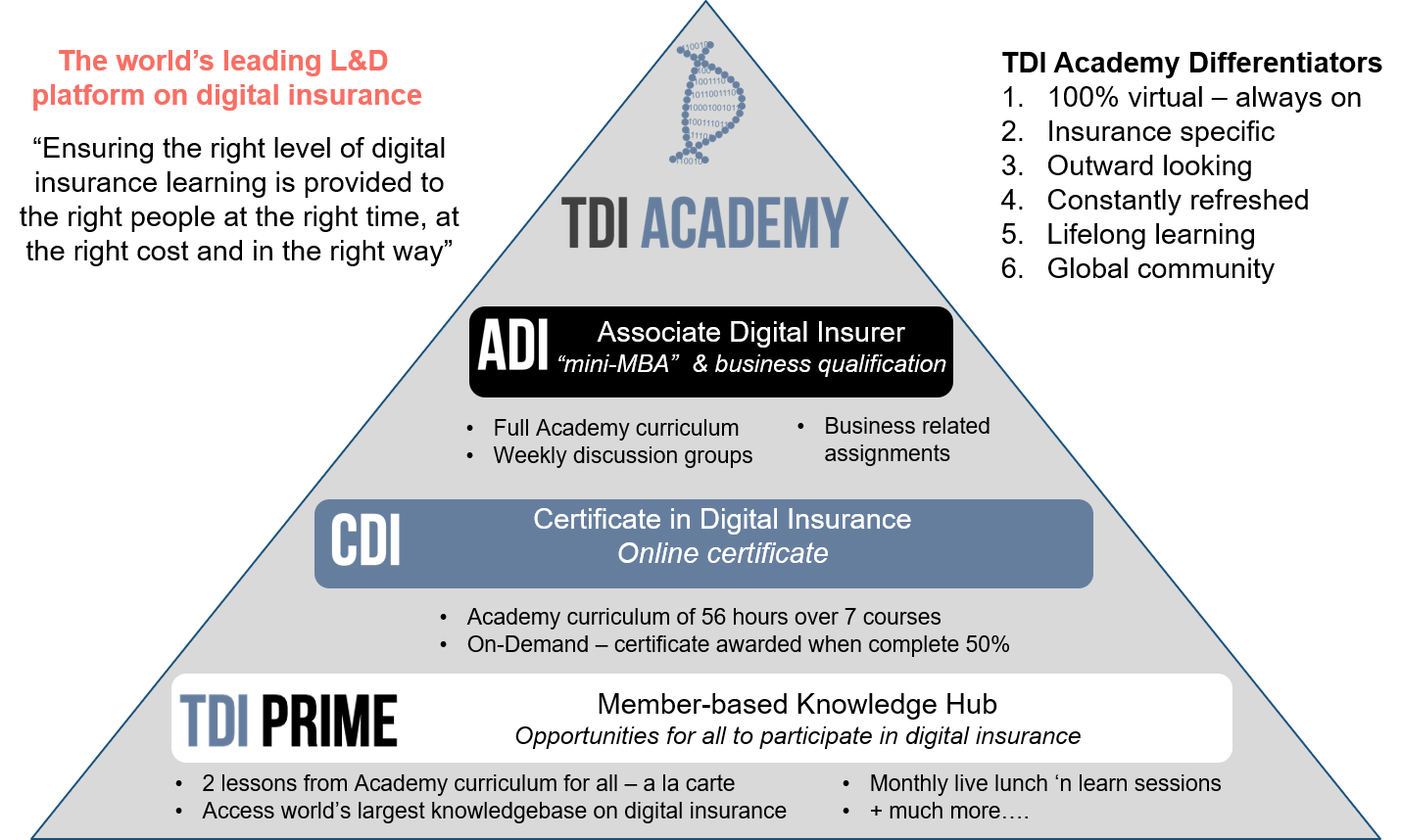 TDI Academy - Homepage - The Digital Insurer