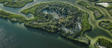 Library: Gartner AI Maturity & Roadmap report - Accelerate Your Journey ...